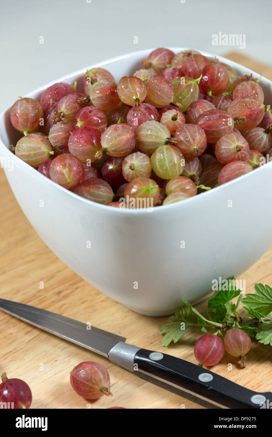 White bowl of red gooseberries ready for cooking Stock Photo - Alamy