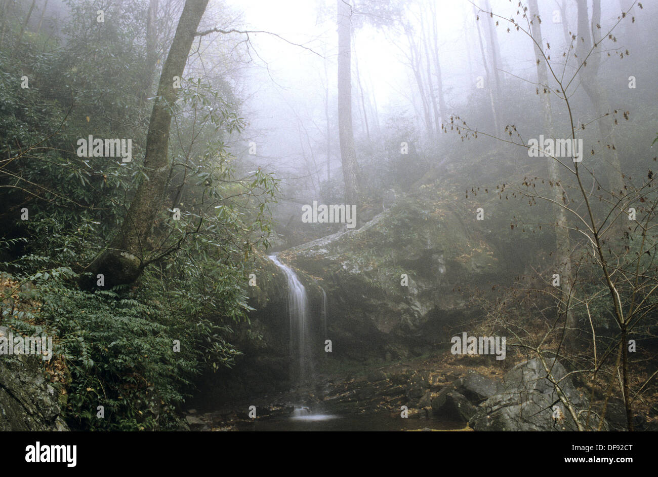 Quiet waterfall, Great Smoky Mountains National Park, Appalachian ...