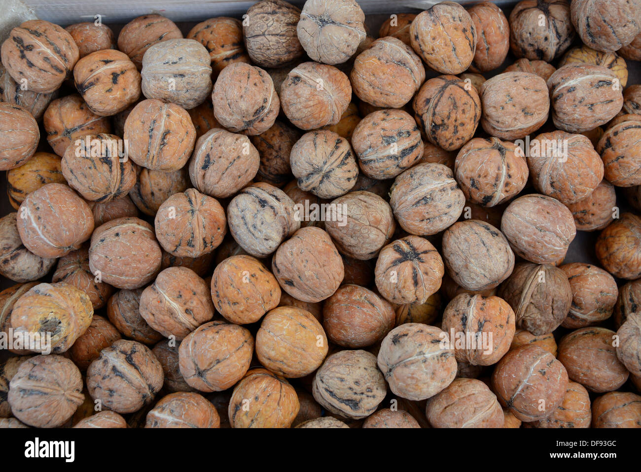 Walnuts structure hi-res stock photography and images - Alamy