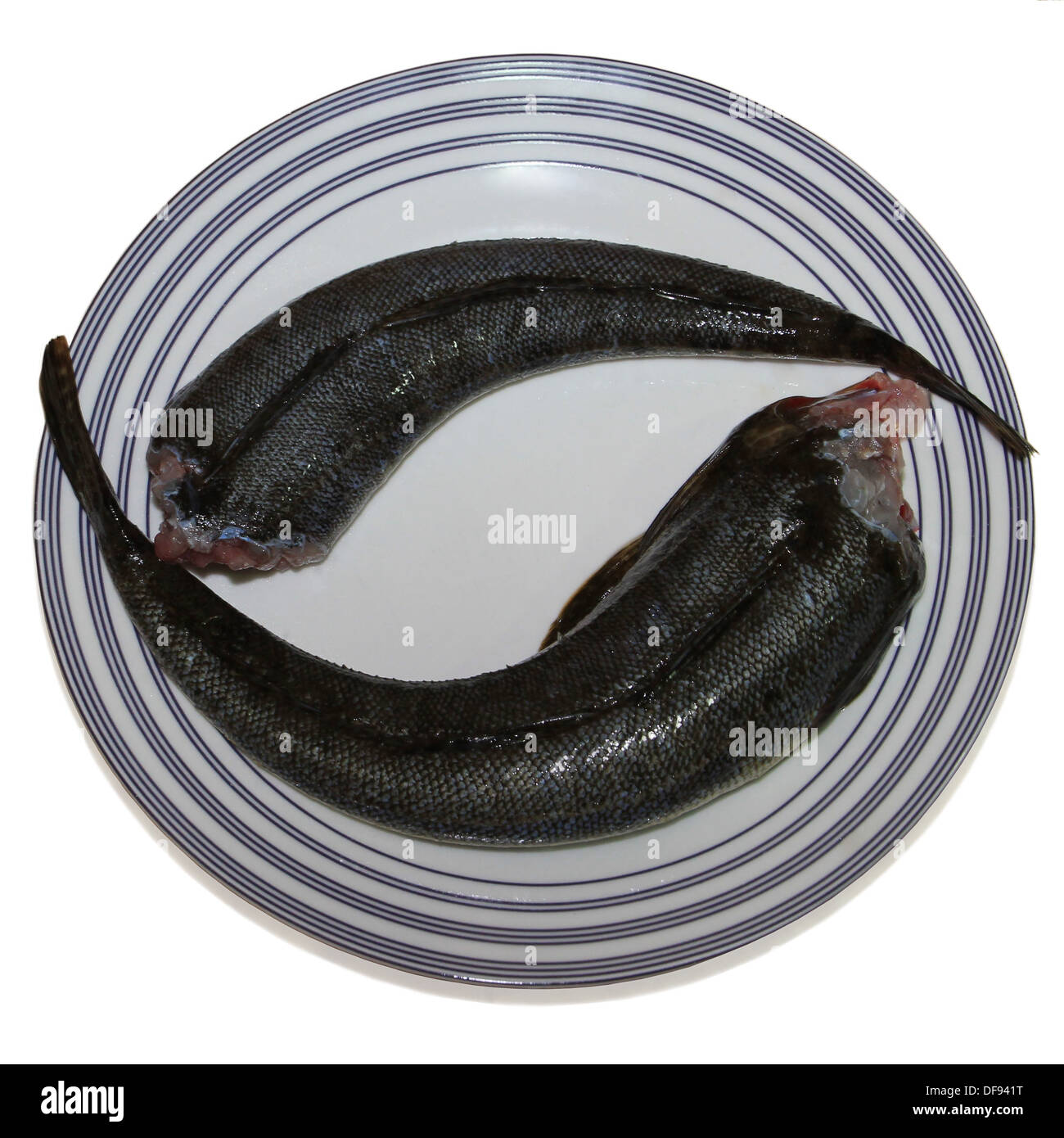 Plater Cut Out Stock Images & Pictures - Alamy