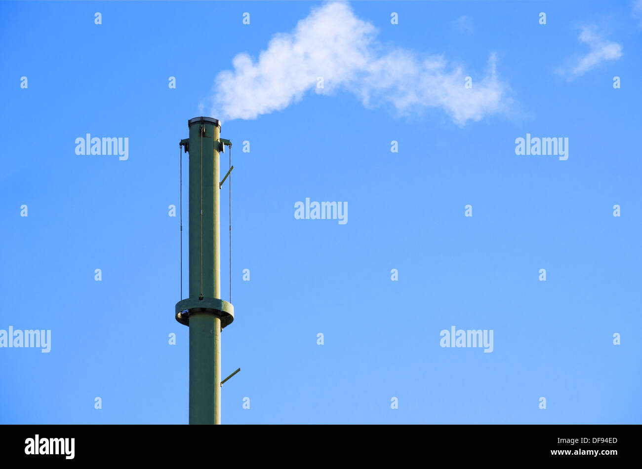 Plantsky hi-res stock photography and images - Alamy