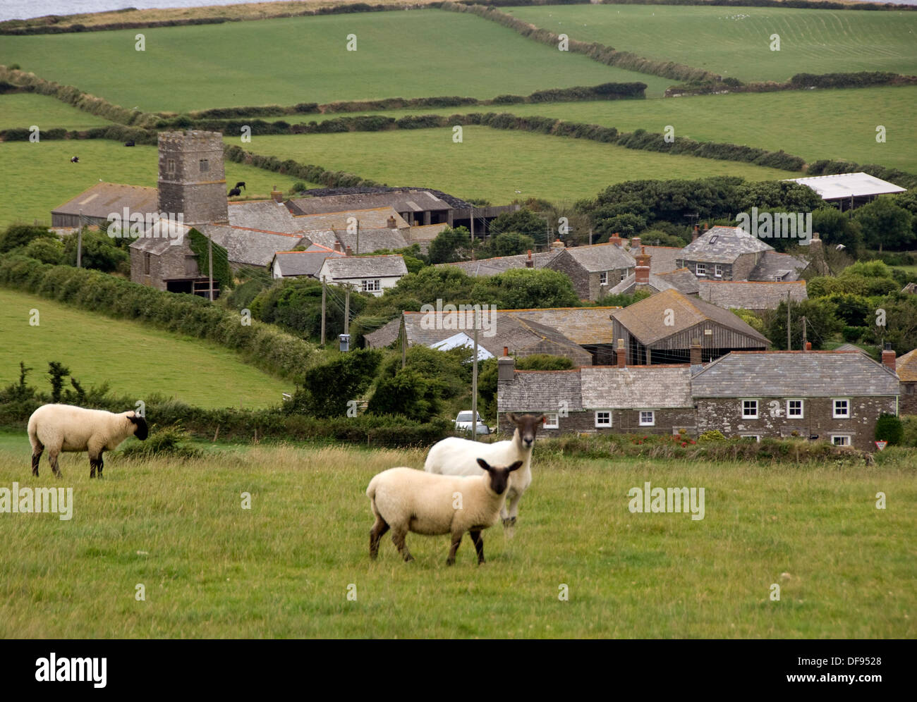 Trevalga cornwall hi-res stock photography and images - Alamy