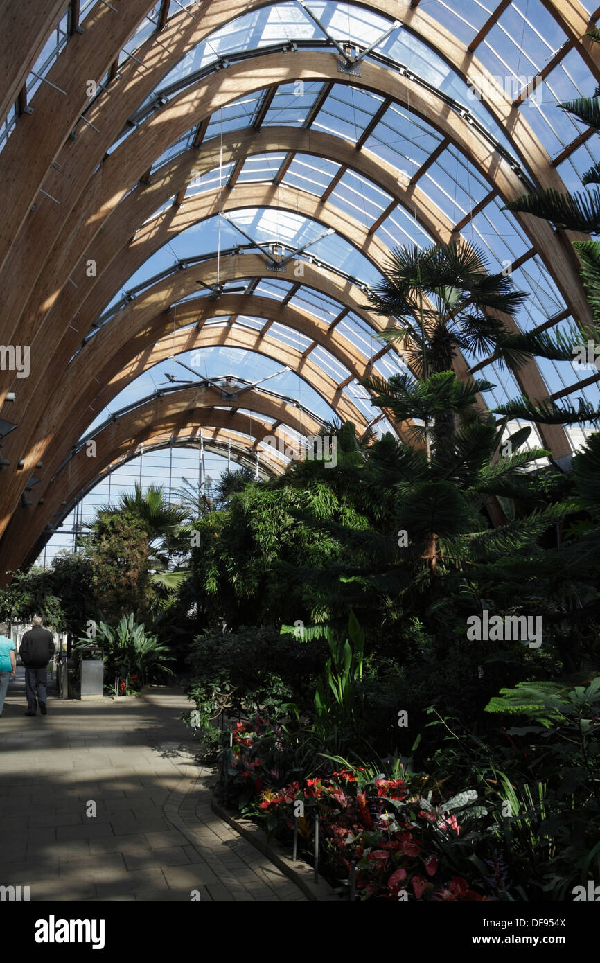 Inside Sheffield Winter Garden Temperate Glasshouse, UK City centre ...