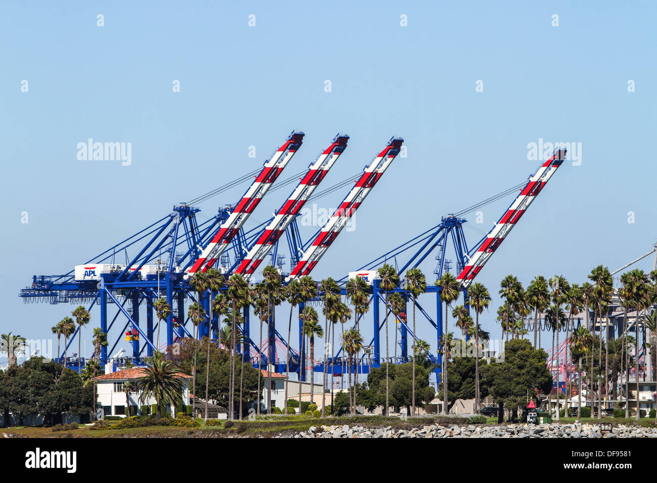 Container cranes at the Port of Los Angeles Stock Photo - Alamy