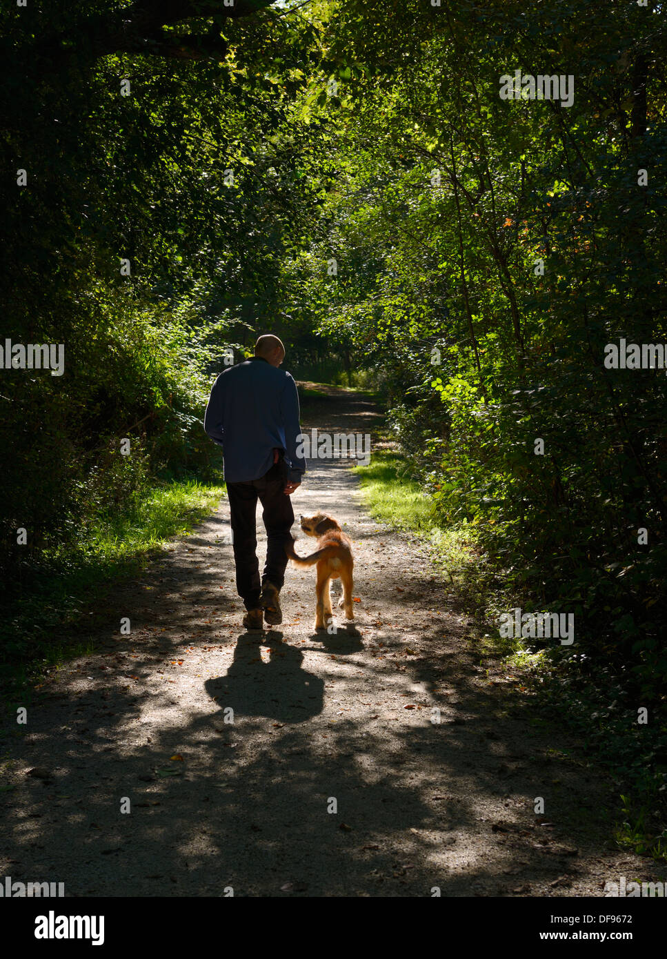 Man Walking Dog Woods Stock Photos & Man Walking Dog Woods Stock Images ...
