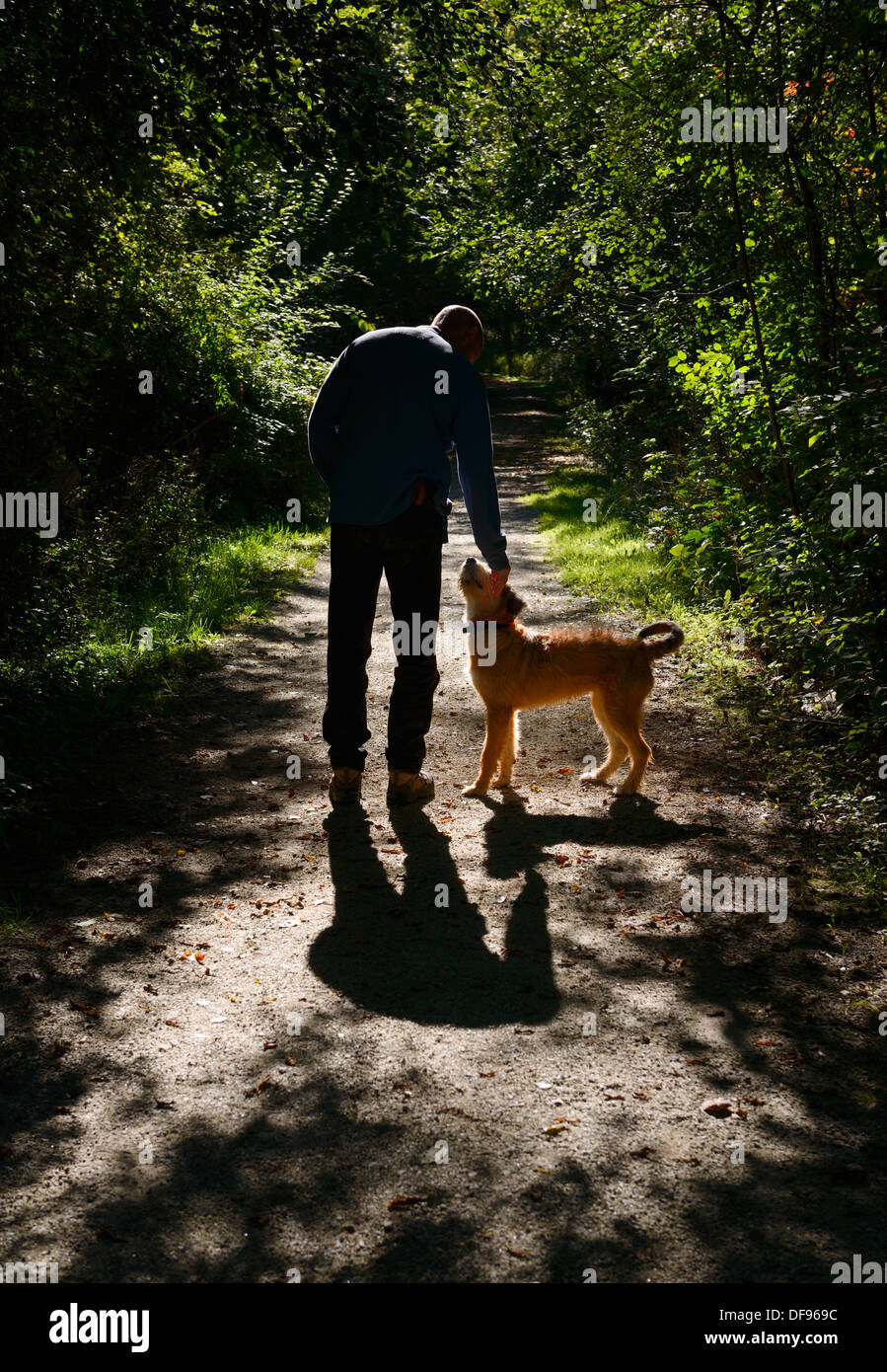 Dog and man shadow hi-res stock photography and images - Alamy