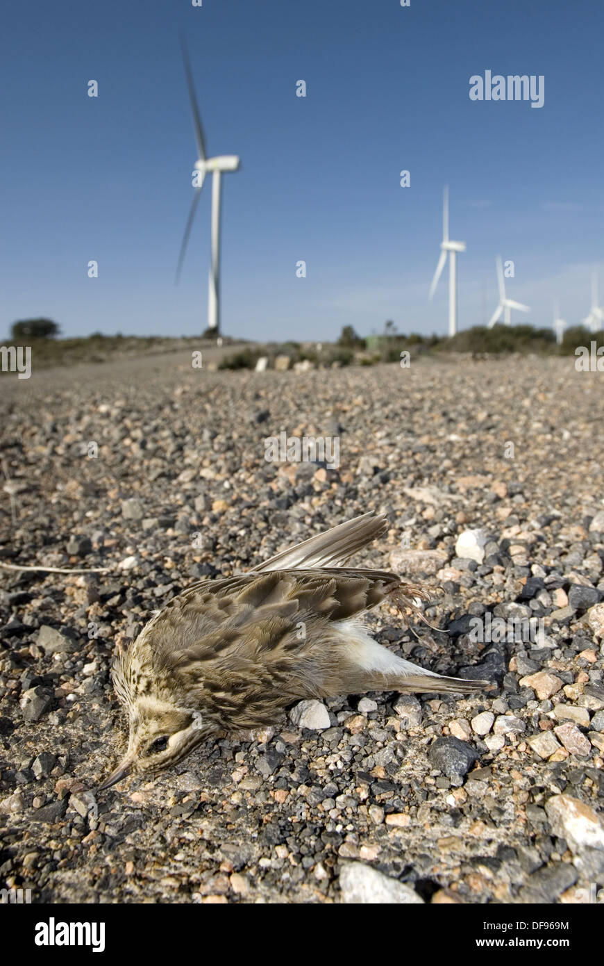 Collision with wind turbine hi-res stock photography and images - Alamy