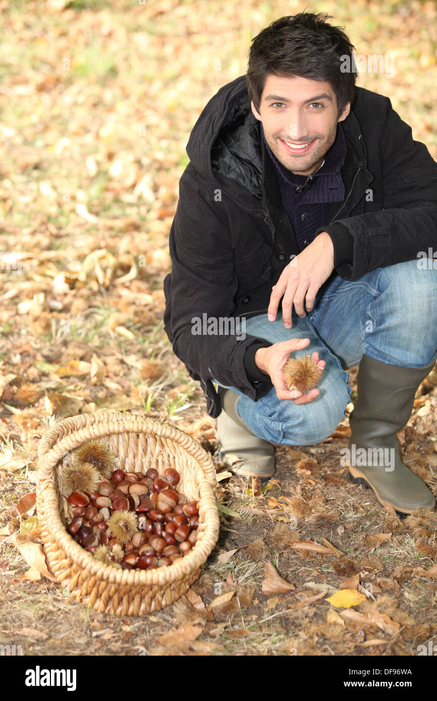 Landscape picture of young picking chestnuts Stock Photo - Alamy