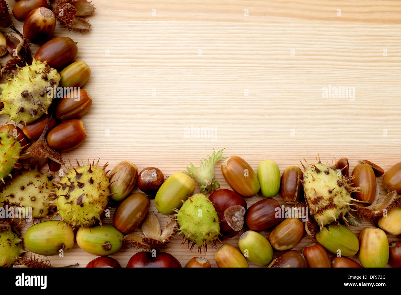 Nut frame hi-res stock photography and images - Alamy