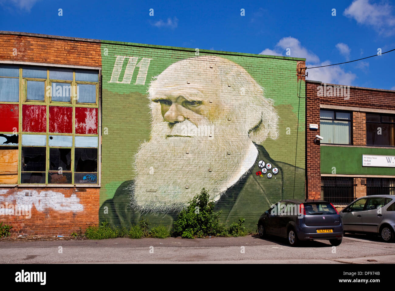 The Darwin mural Sheffield South Yorkshire UK Stock Photo - Alamy