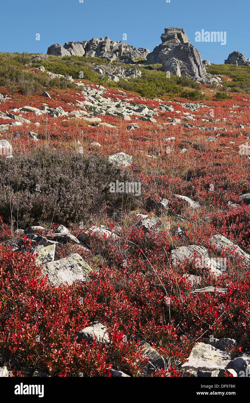 Silla de color hi-res stock photography and images - Alamy