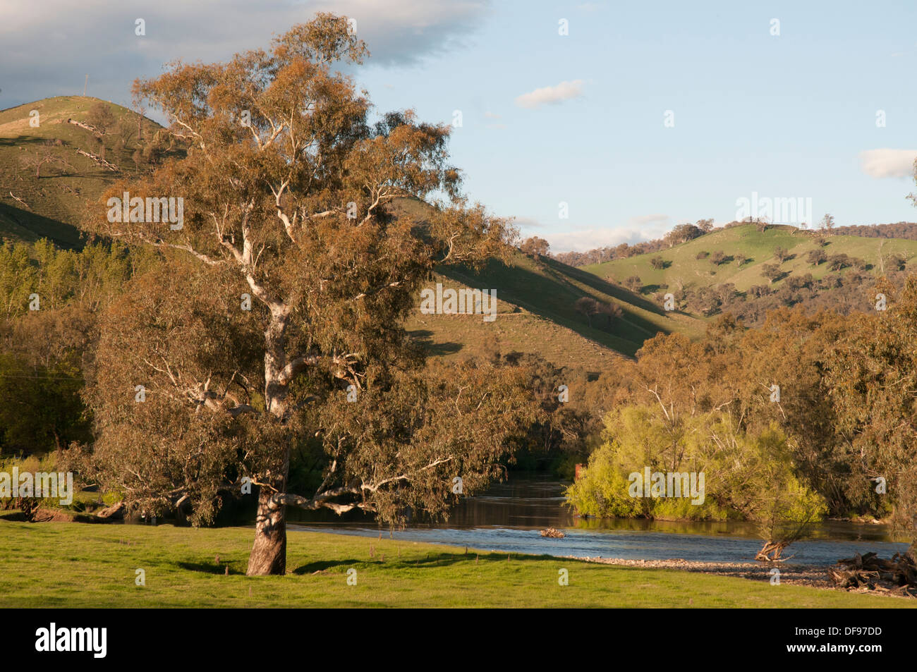 Murray river australia hi-res stock photography and images - Alamy