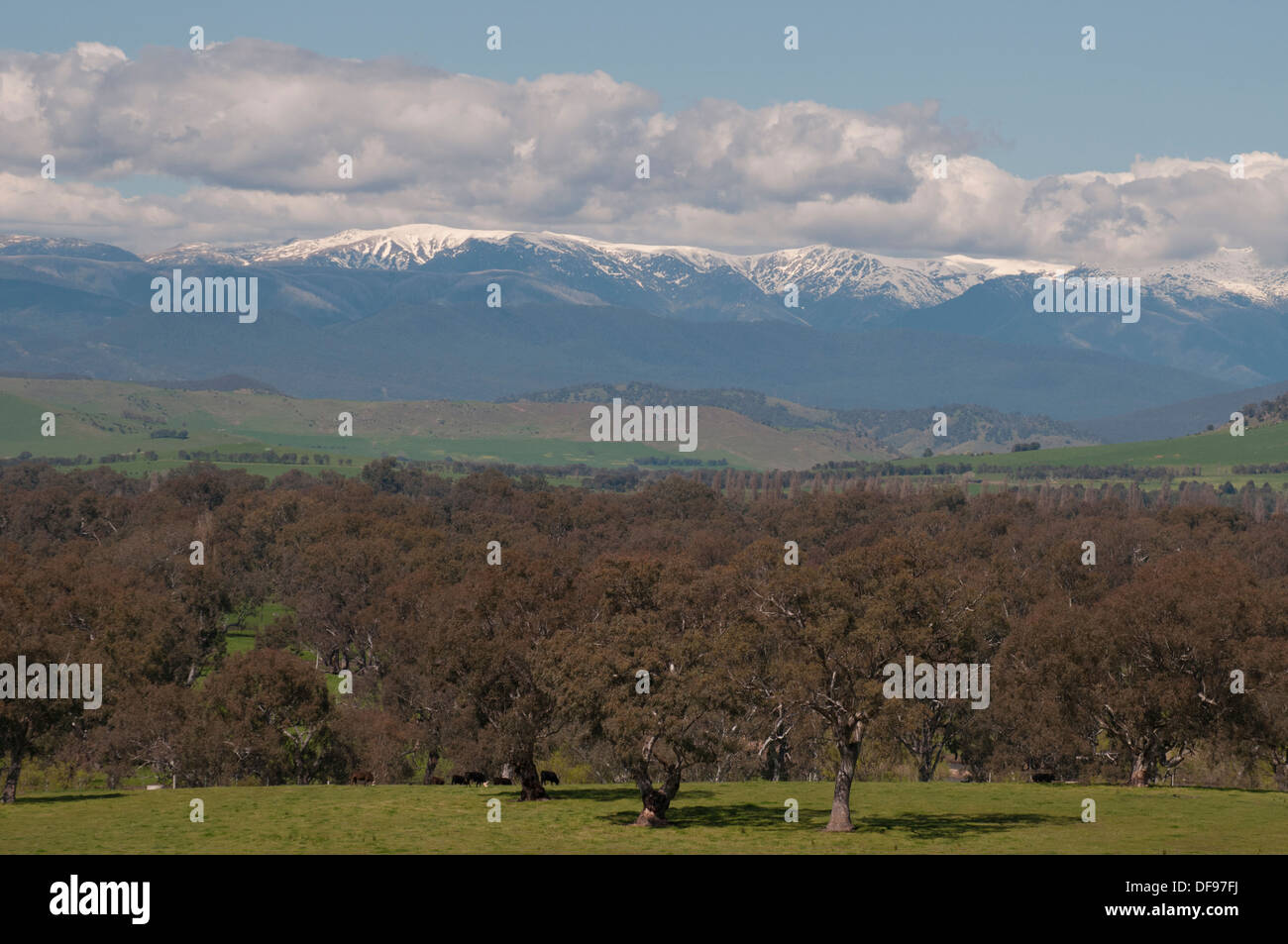 Australian snowy mountains hi-res stock photography and images - Alamy