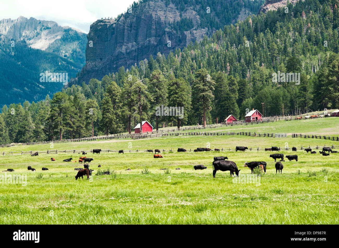 Colorado mountain scenery Stock Photo - Alamy