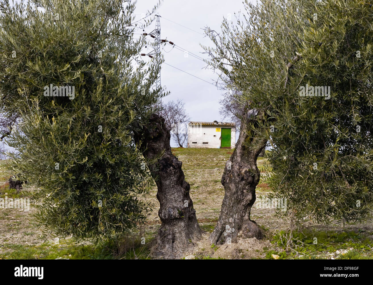Transformer Small House High Resolution Stock Photography and Images ...