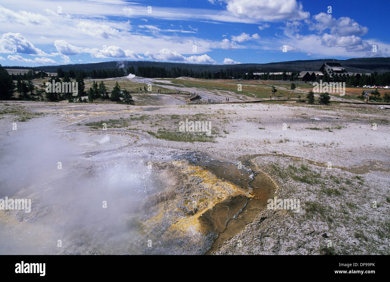 Geyser anemone hi-res stock photography and images - Alamy