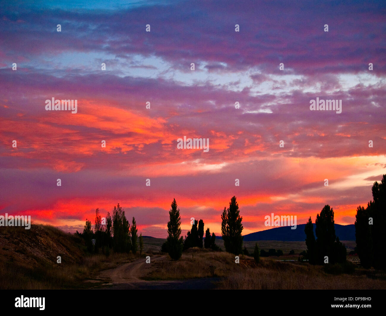 Cooma hi-res stock photography and images - Alamy