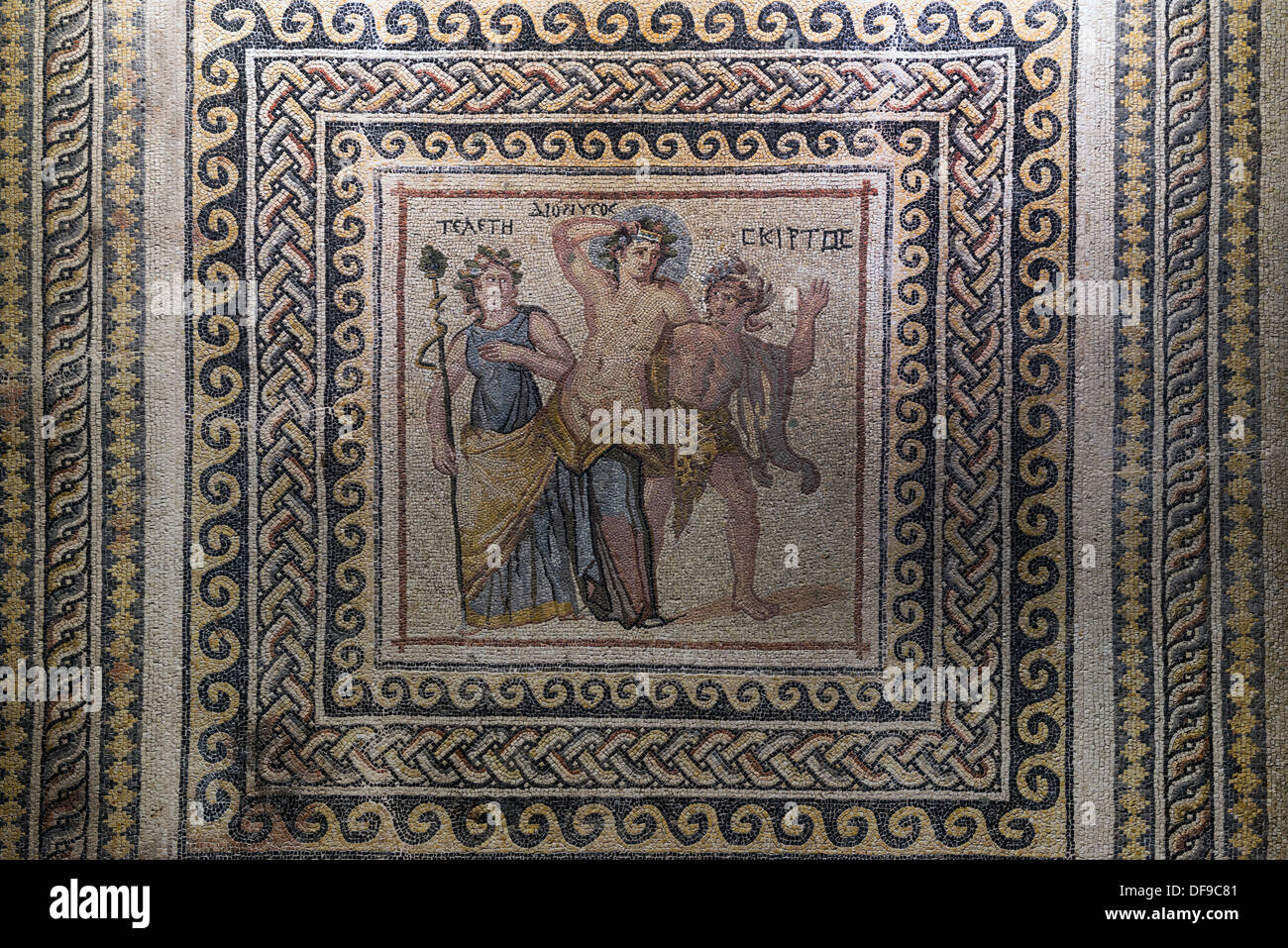 Dionysos, Telete, Skyrtos Zeugma Mosaic Museum Gaziantep Turkey Stock ...