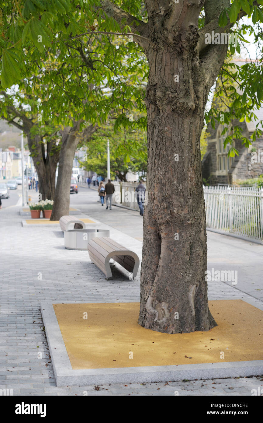 Mature Horse Chestnut trees in water permeable tree pits, part of new ...