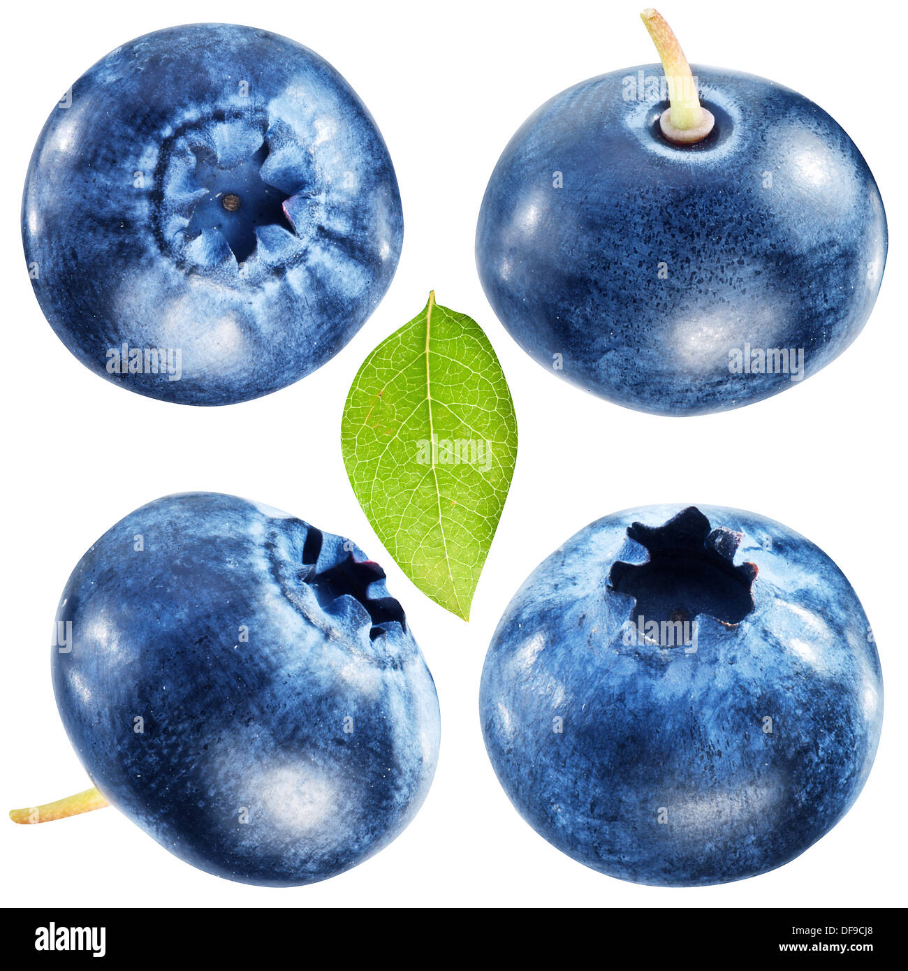 Four blueberries with leaf in different view shot. Studio isolated ...