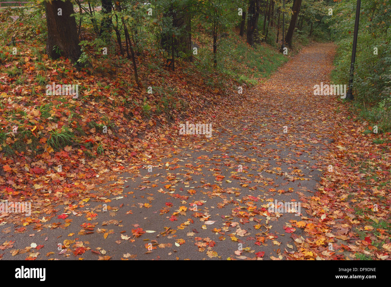 Niagara falls way hi-res stock photography and images - Alamy