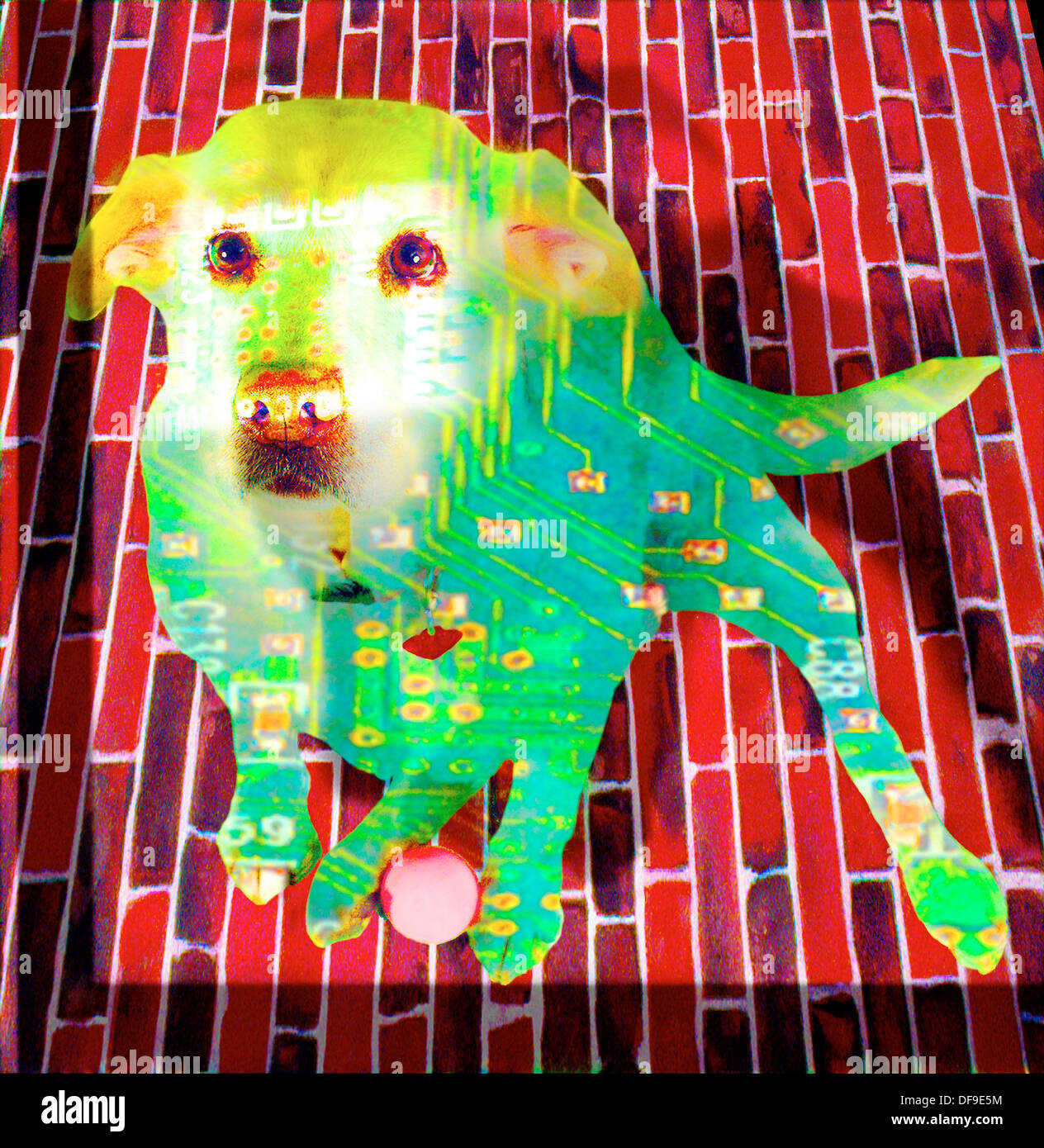 Techno animal hi-res stock photography and images - Alamy