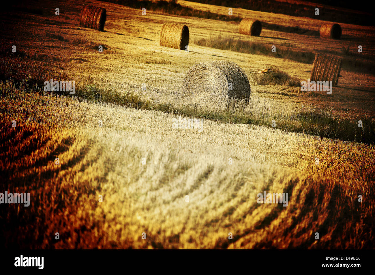 Straw Ball High Resolution Stock Photography and Images - Alamy