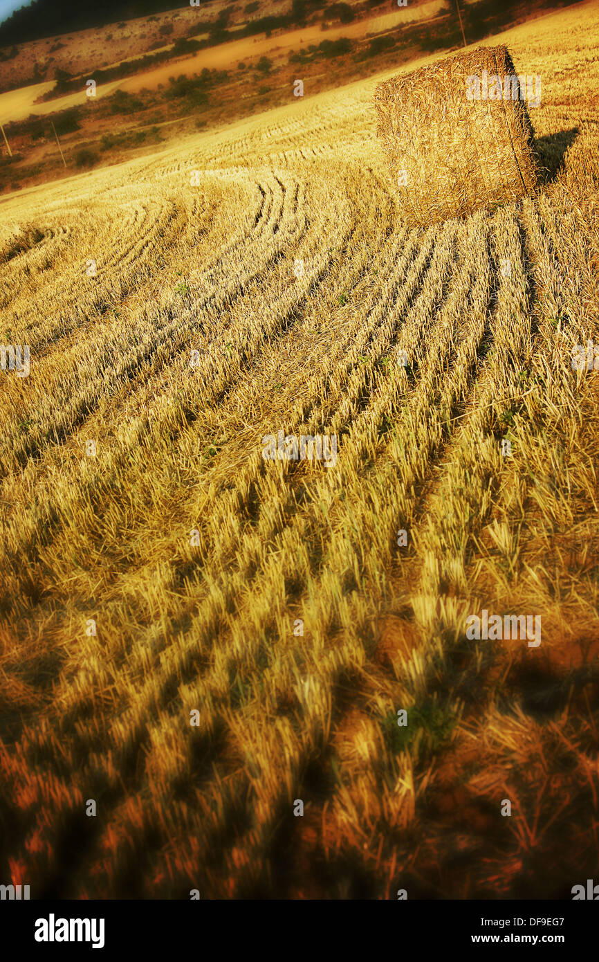 Straw ball hi-res stock photography and images - Alamy