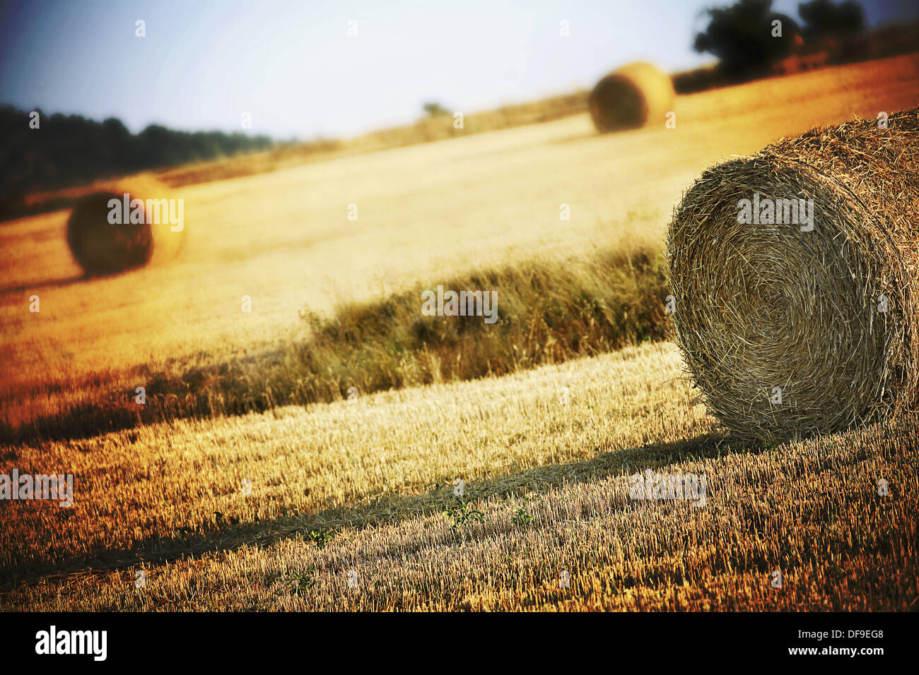 Straw ball hi-res stock photography and images - Alamy