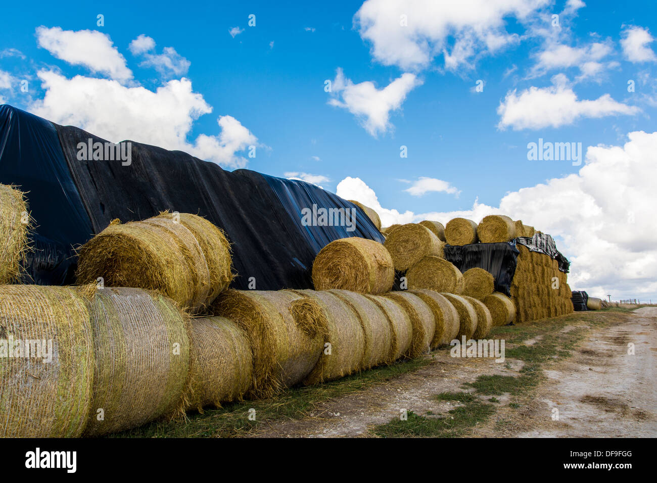 Rural farming scene in the South Downs National Park in West Sussex ...