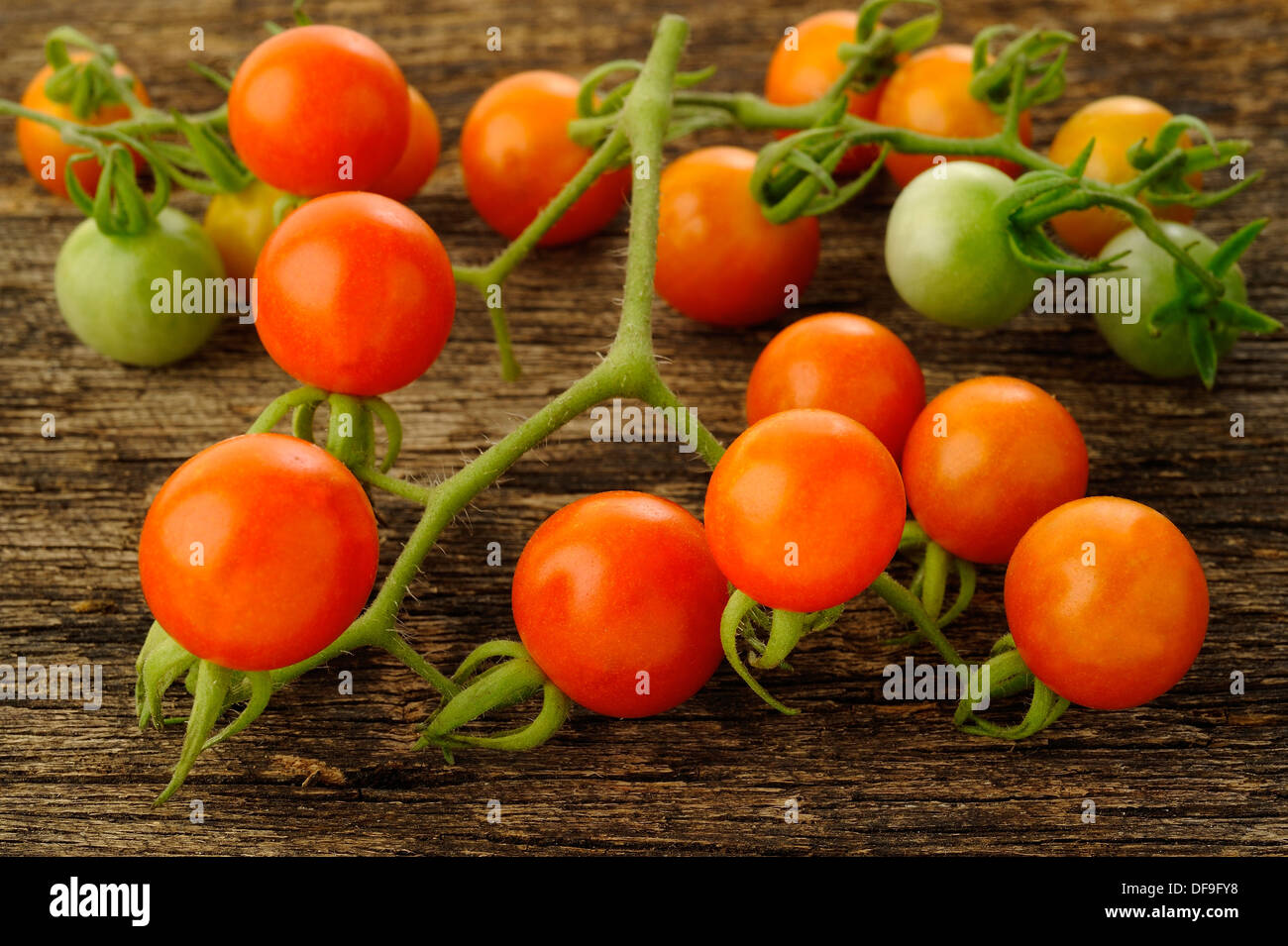 Fresh ripe tomatoes Stock Photo - Alamy
