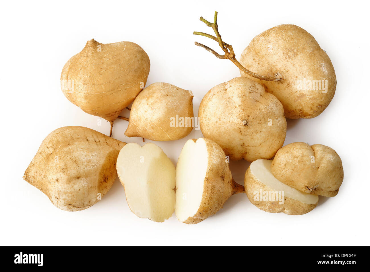 Jicamas on white background Stock Photo - Alamy