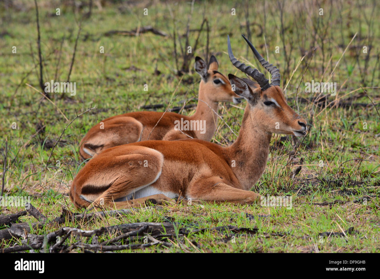 Good rest hi-res stock photography and images - Alamy