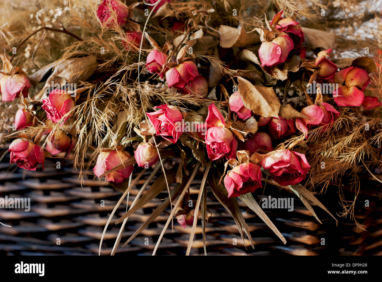 Dried red roses in a wicker basket Stock Photo - Alamy
