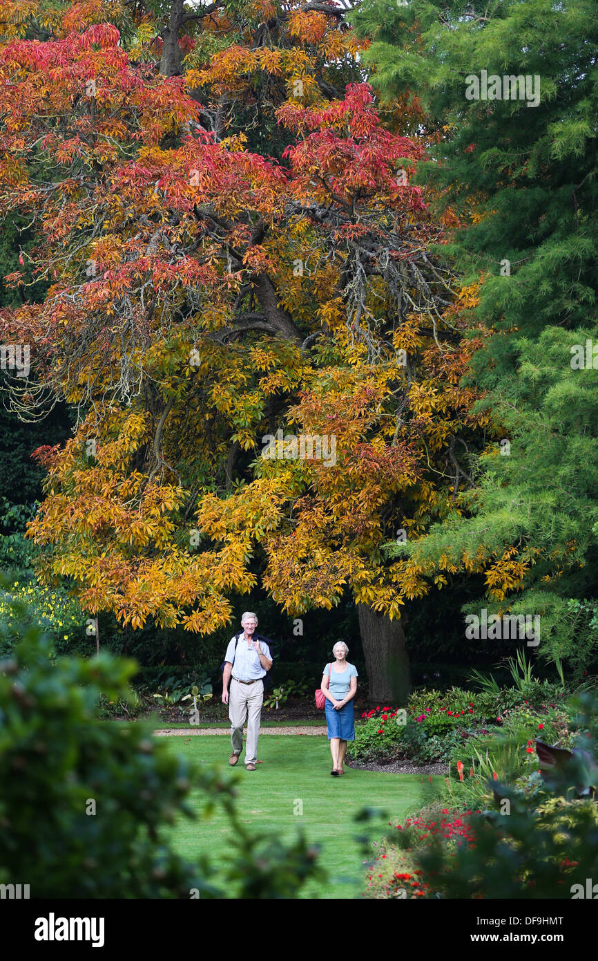 Cambridge University Botanic Garden in early Autumn Stock Photo - Alamy