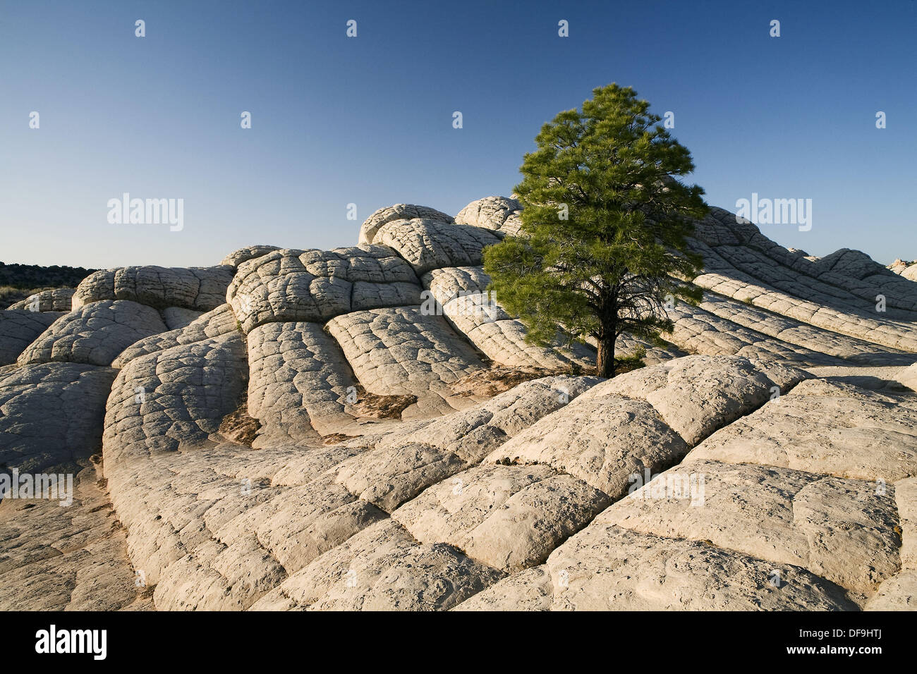 White pine buttes hi-res stock photography and images - Alamy