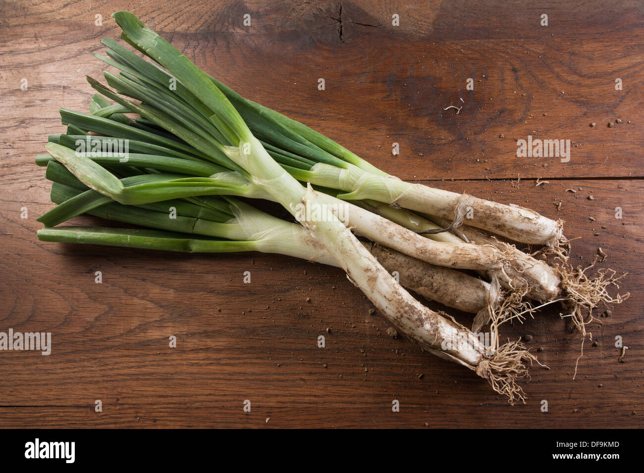 Calcots hi-res stock photography and images - Alamy