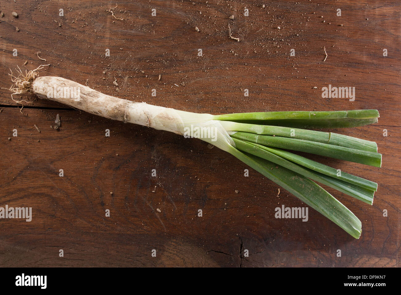 Calcot hi-res stock photography and images - Alamy