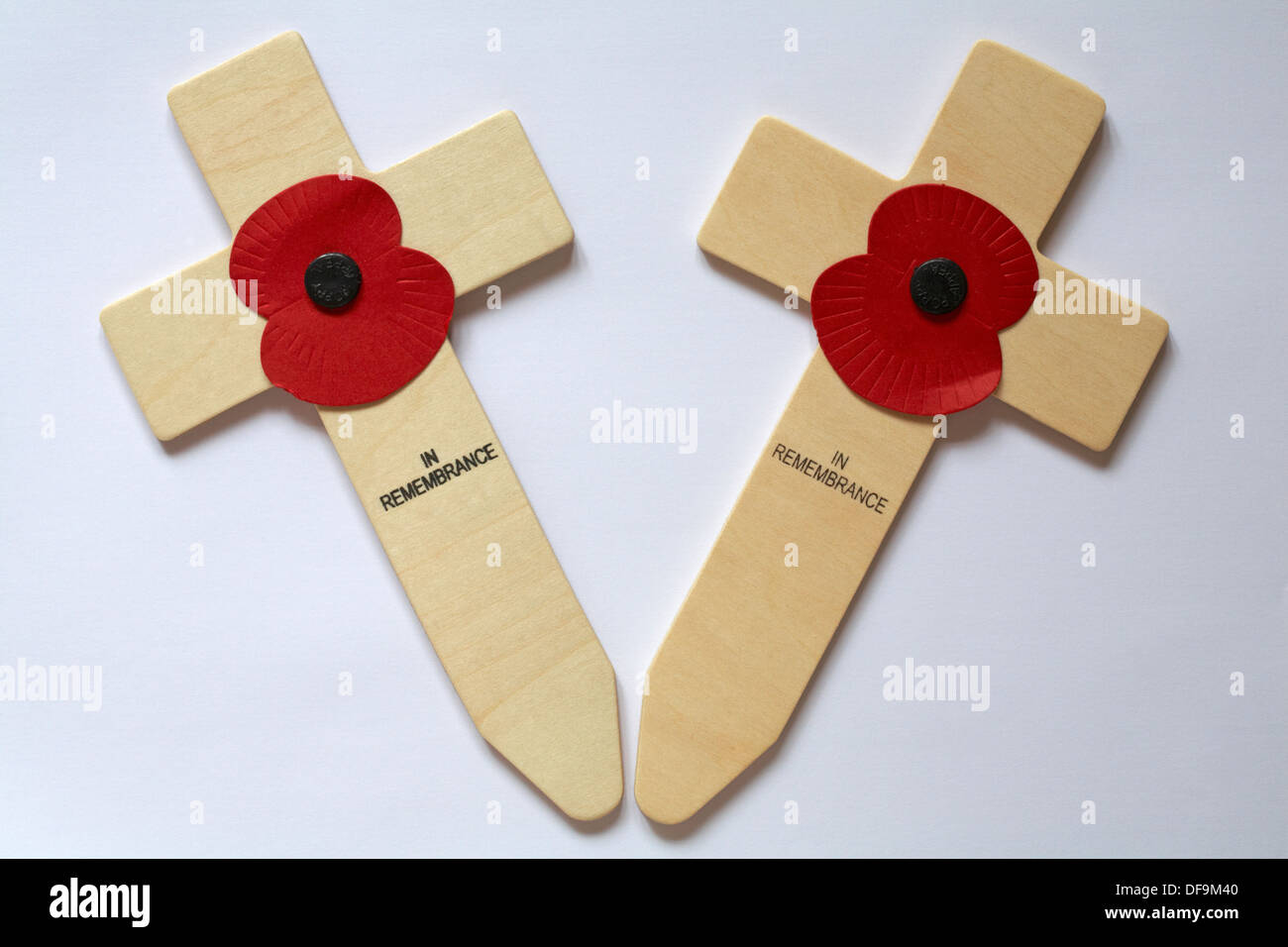 British Legion Red Poppies In remembrance crosses isolated on white ...
