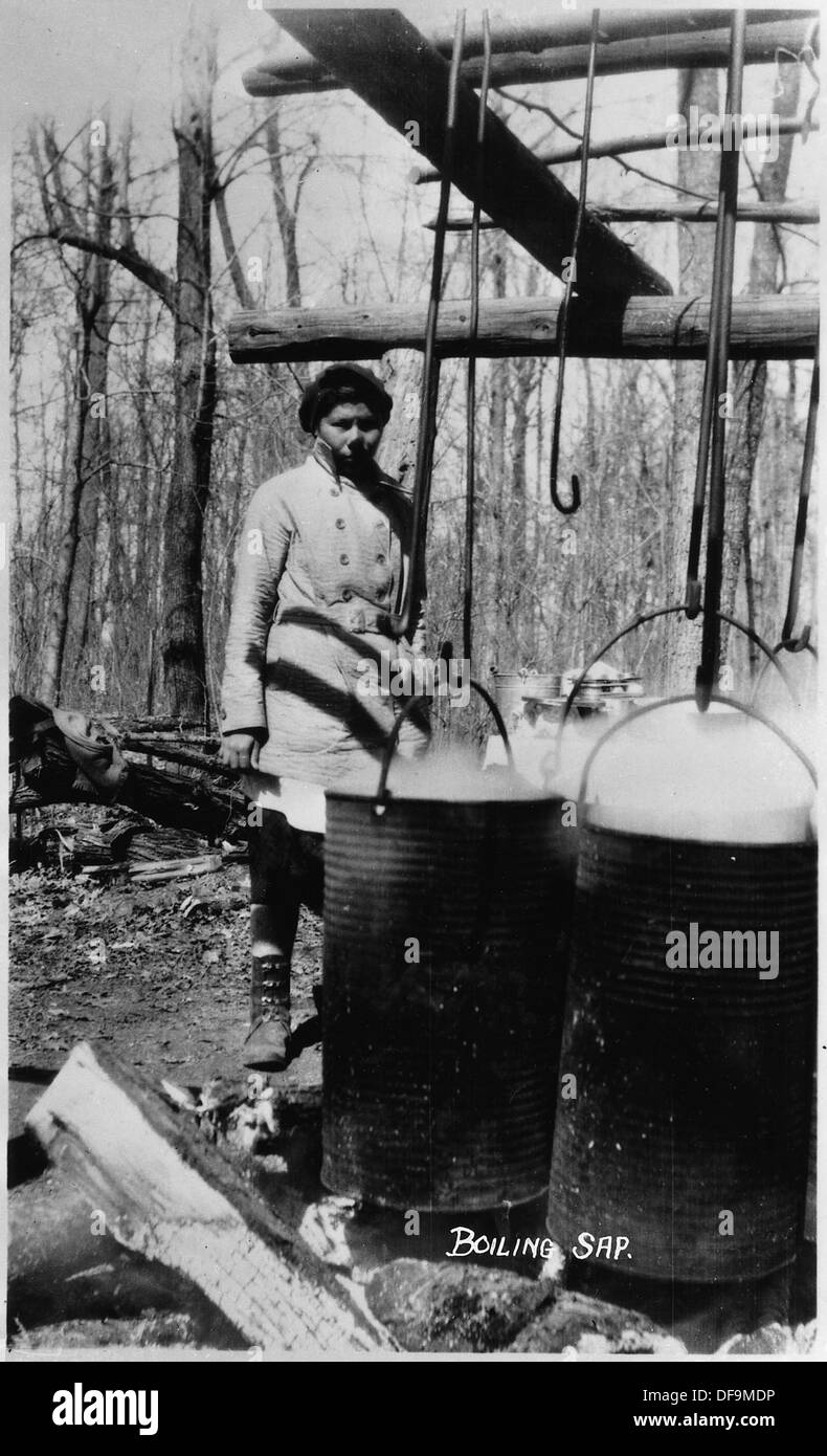 This photograph captures the process of sugar making, showcasing the ...