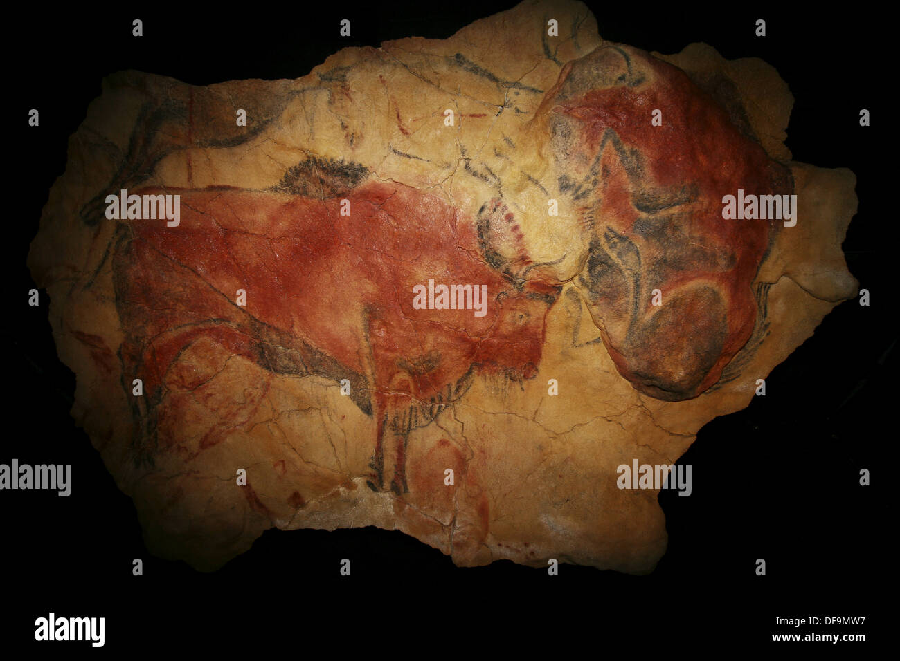 Prehistoric cave painting bull altamira hi-res stock photography and ...