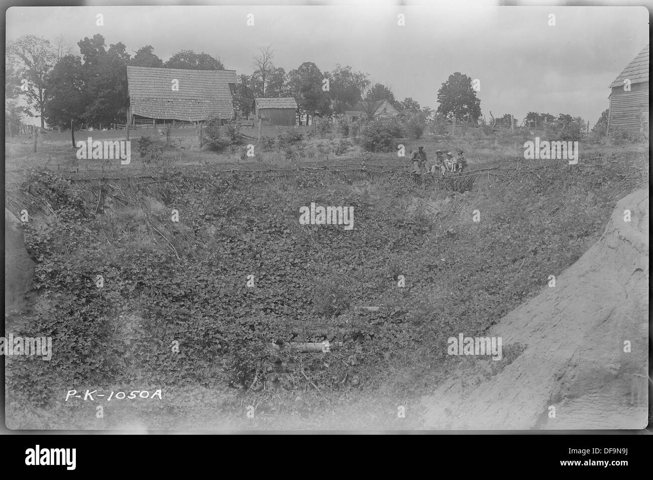 Old swain hi-res stock photography and images - Alamy