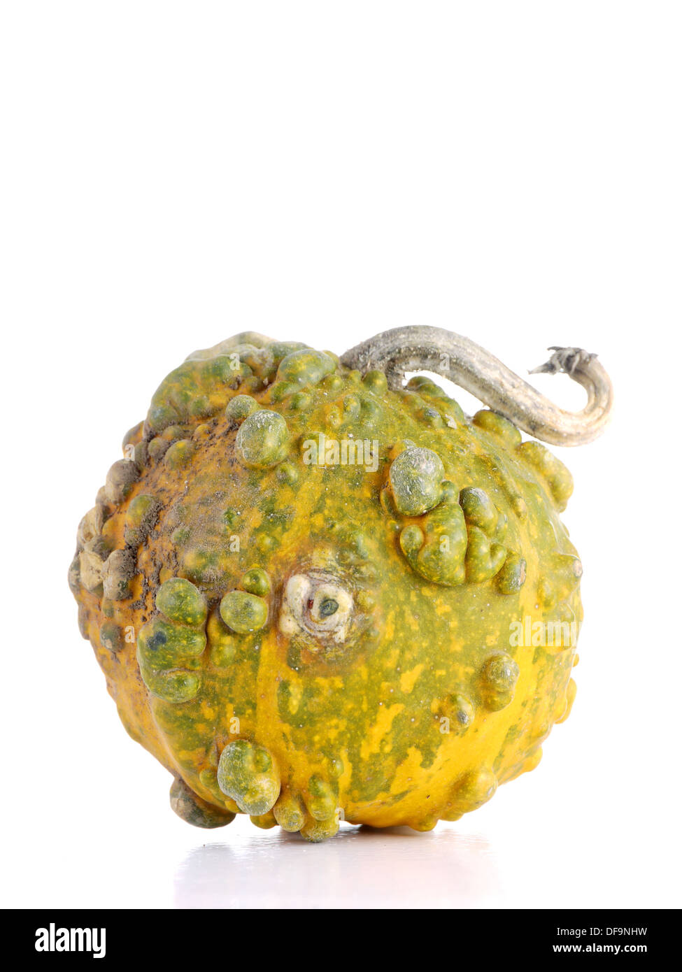 Summer squash shot on white background Stock Photo - Alamy