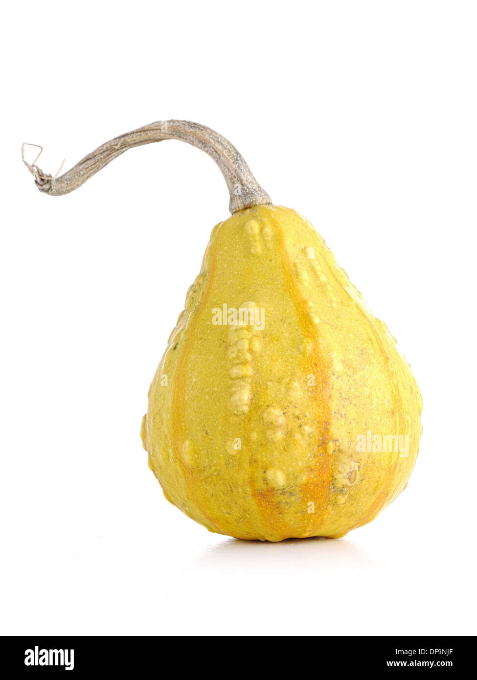 Summer squash shot on white background Stock Photo - Alamy