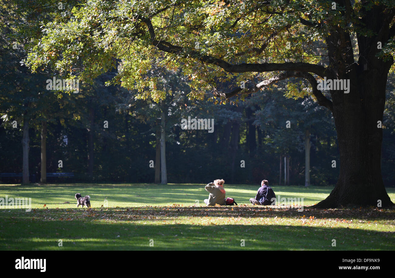 Dog under a tree hi-res stock photography and images - Alamy