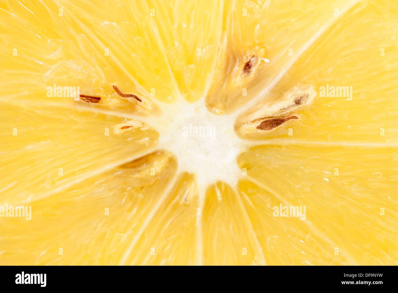Fresh juicy sliced lemon close-up Stock Photo - Alamy