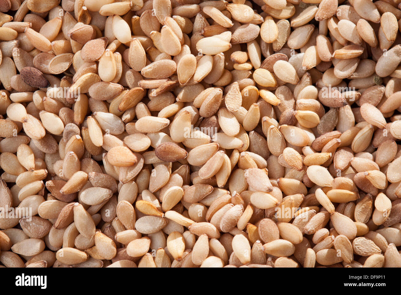 Pile of raw white sesame grains close-up Stock Photo - Alamy