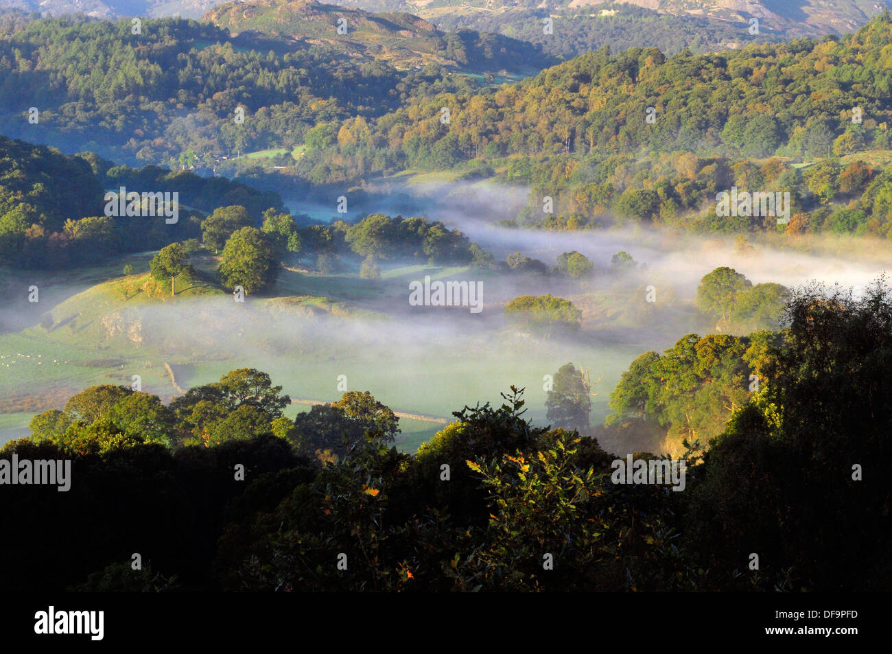 Morning countryside hi-res stock photography and images - Alamy