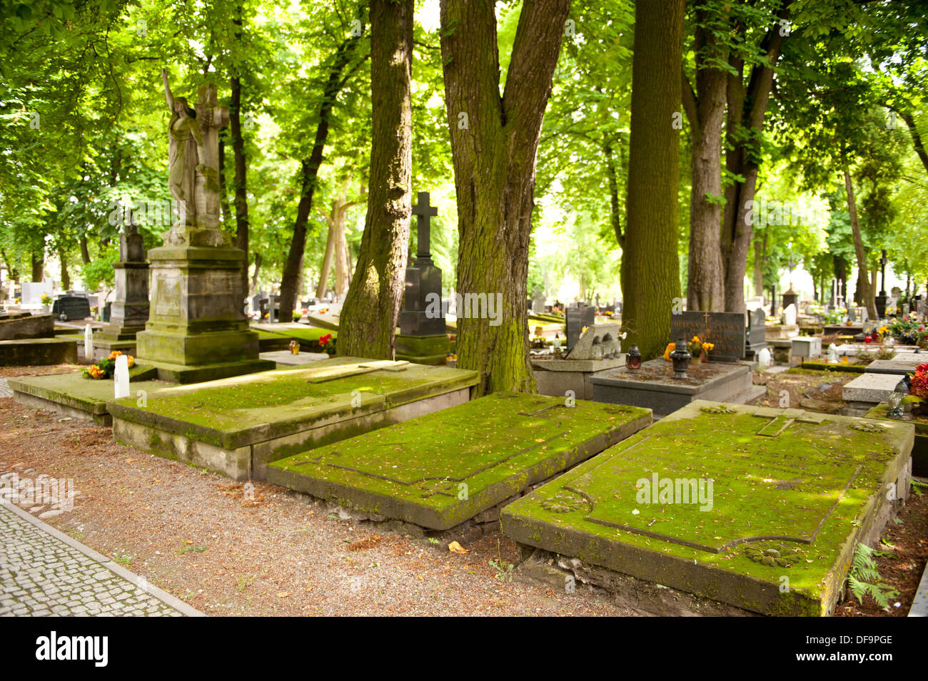 Old stone graves moss cemetery hi-res stock photography and images - Alamy