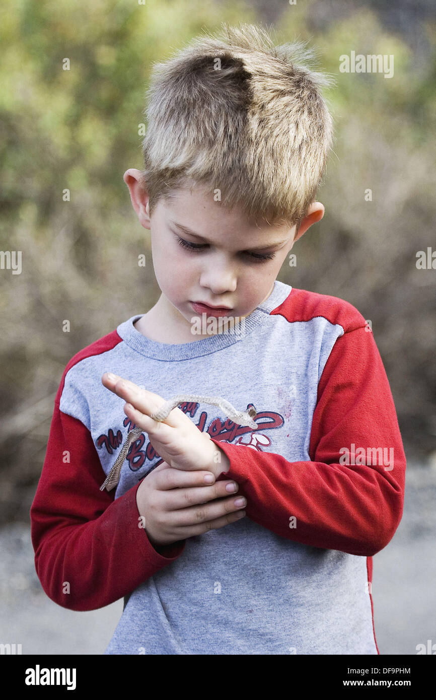 Boy Holding A Snake High Resolution Stock Photography and Images - Alamy